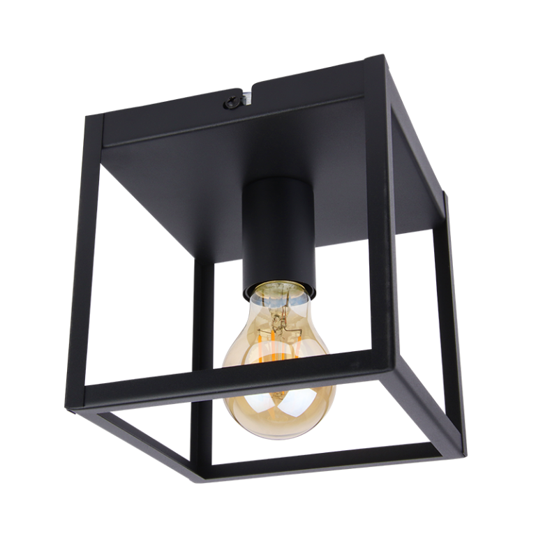 LEDUXA | PLAFONDLAMP | ZWART | INDUSTRIEEL | VIERKANT - KoopLED